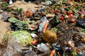 Top 10 Countries That Waste The Most Food In The World 2025