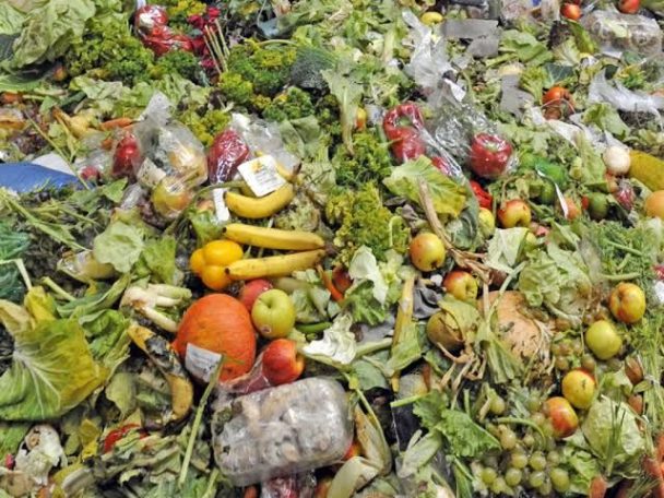 Top 10 Countries That Waste The Most Food In The World 2025